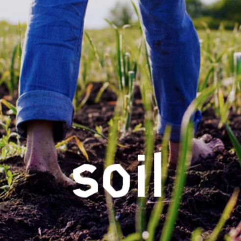 Soil - Thank you for your support!