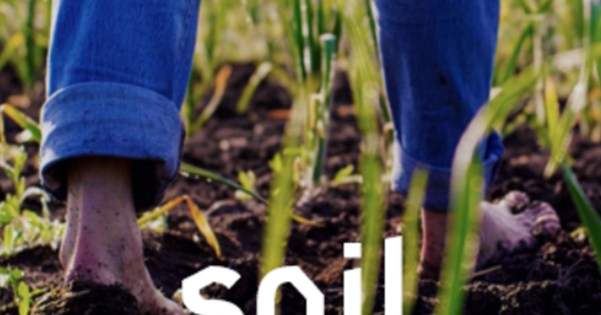 Soil - About the project